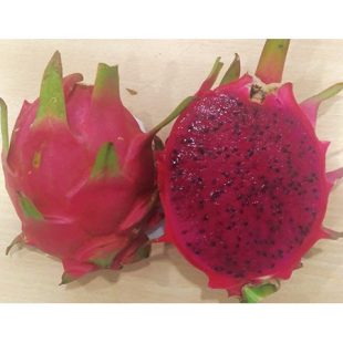 New Product Showcase: Red Pitaya Boards for Ham Radio Operators﻿