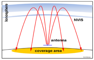 What is NVIS? – Boca Raton