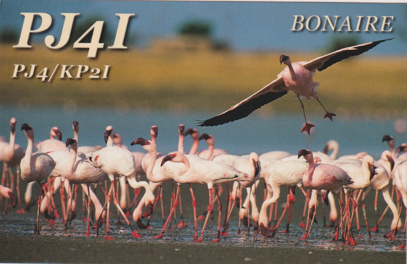 It’s All in the Cards! QSL Cards from Bonaire