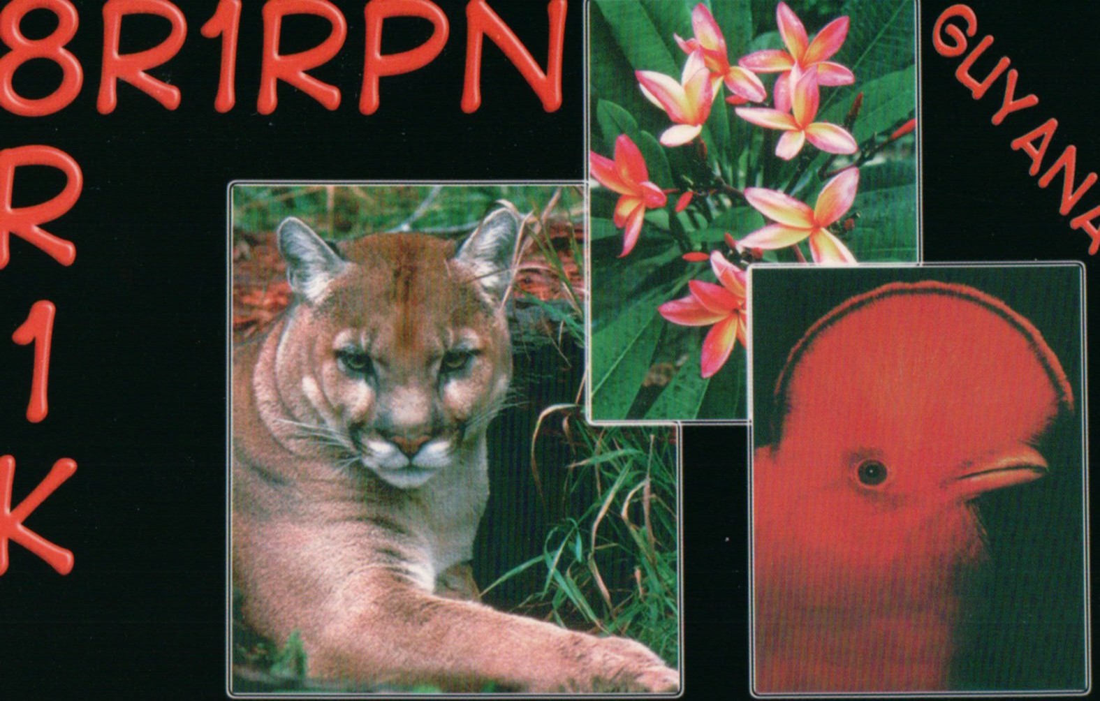 It’s All in the Cards! QSL Cards from Guyana