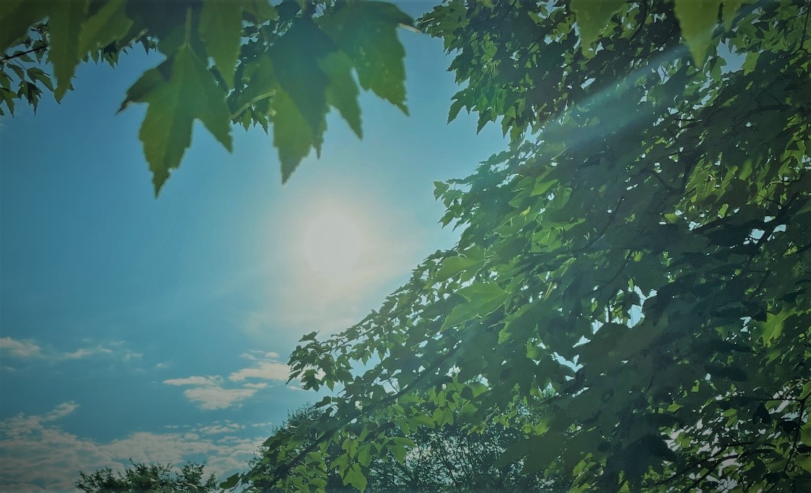 Ham Radio 101: The Basics of Sun and Signal—A Few Useful Resources